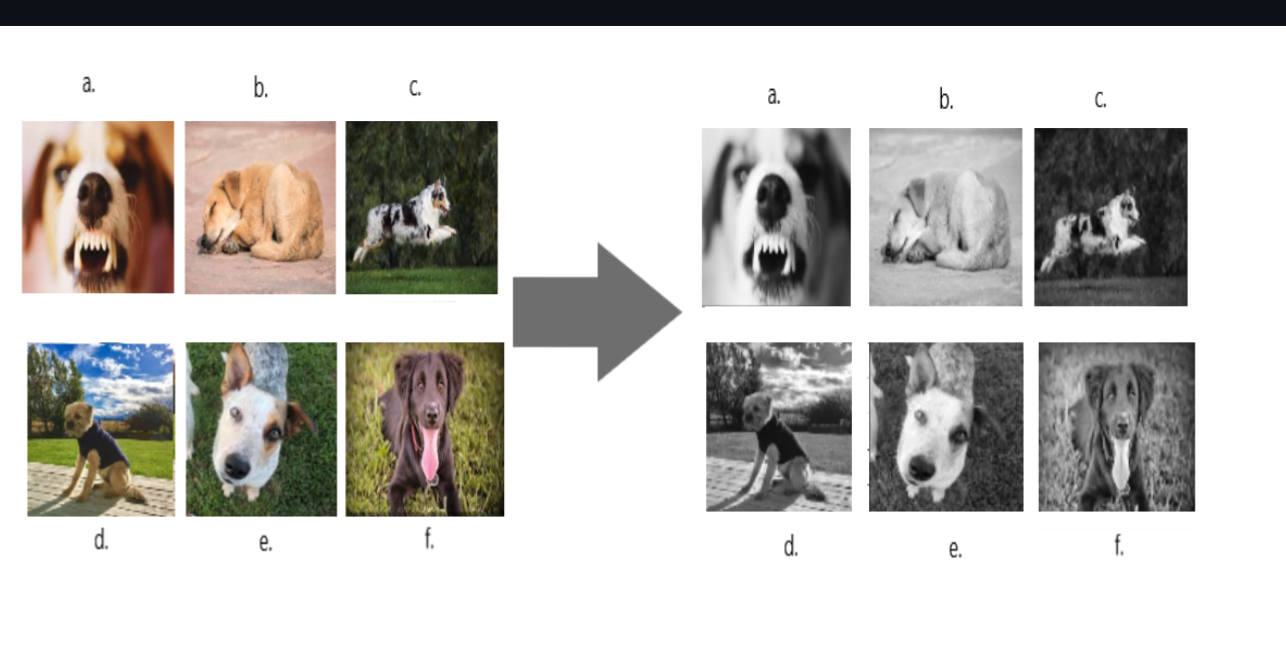 GitHub - Ekta729/Dog-Behavior-Recognition
