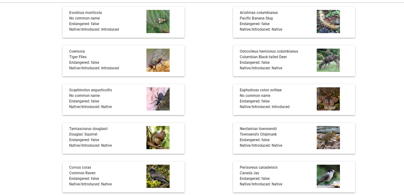 GitHub - Saltshaker282/NU-Project-One: Bootcamp Project 1 Repo