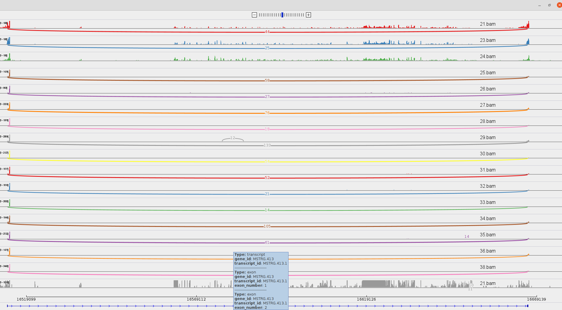 -S plus vs -S minus shows the same reads · Issue #51 · guigolab/ggsashimi · GitHub