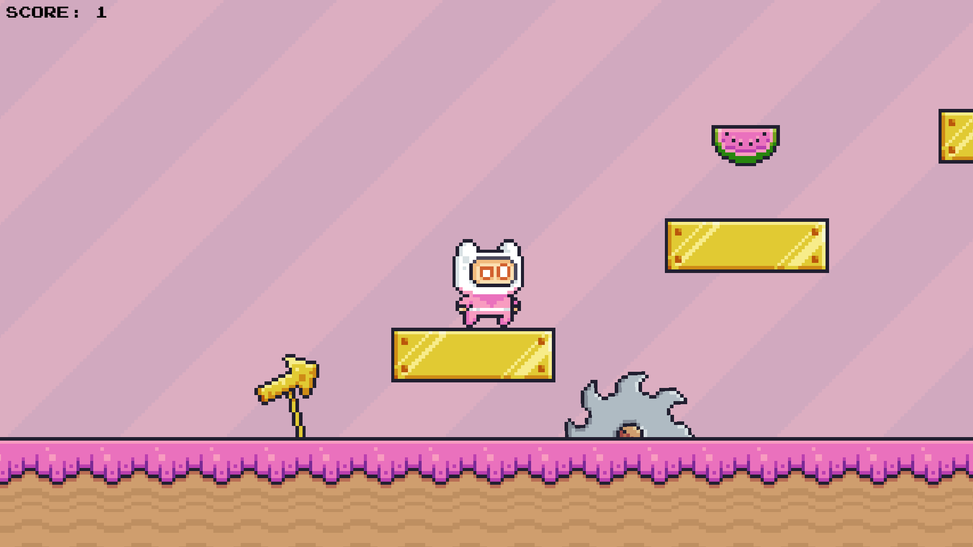 GitHub - Fatimbit/Fatimbits_Fruit_Run: 2D Unity Platformer
