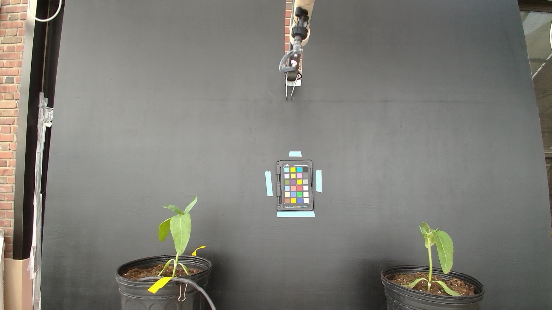 Background Removal Not Working · Issue #1383 · danforthcenter/plantcv · GitHub