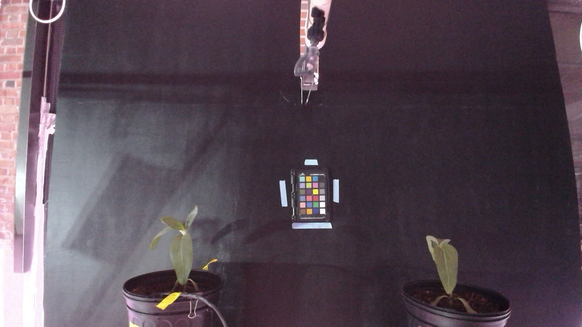 Color correction with colorcard detection produces weird results in some lighting scenarios ...