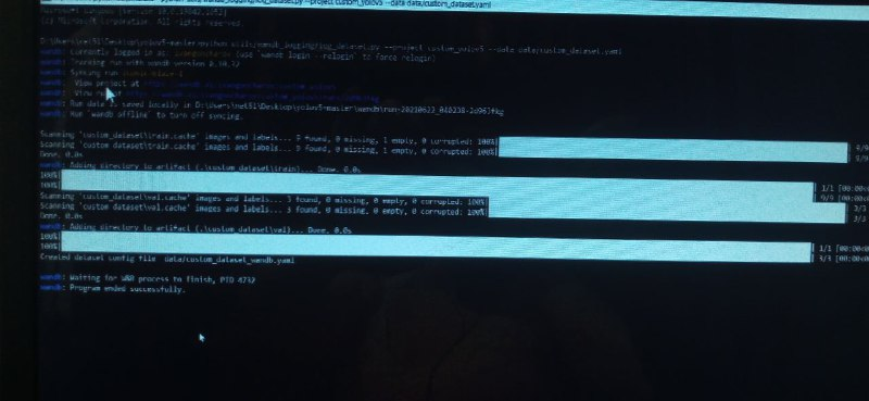 Cli Error Error While Calling Wandb Api Cannot Use Artifact · Issue 3117 · Wandbwandb · Github