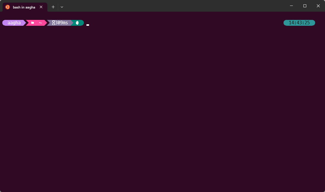 OMP breaks when using screen · JanDeDobbeleer oh-my-posh · Discussion ...