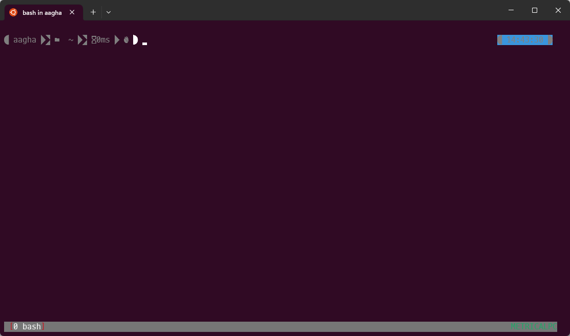 OMP breaks when using screen · JanDeDobbeleer oh-my-posh · Discussion ...