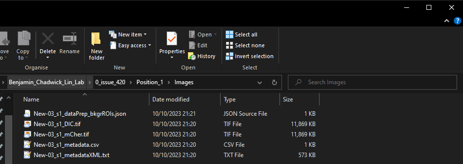 Critical error in prep data · Issue #420 · SchmollerLab/Cell_ACDC · GitHub