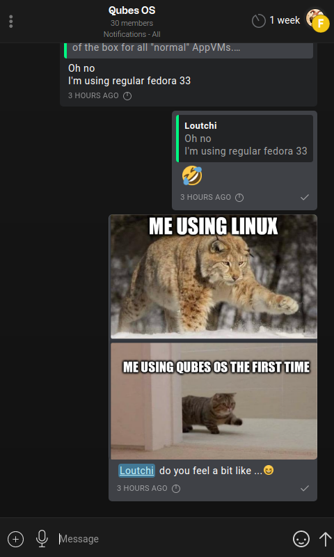 Closed group do not show any message · Issue #708 · oxen-io/session-android · GitHub