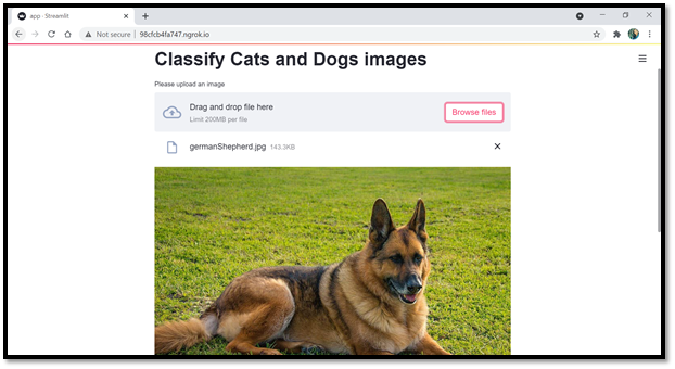 GitHub - Roohi-Sharma/Cats-vs-Dogs-Image-classifier