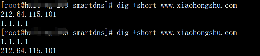 通过address强制解析的2个IP地址怎么去探测这2个地址是否正常，验证不生效 · Issue #1547 · pymumu/smartdns · GitHub