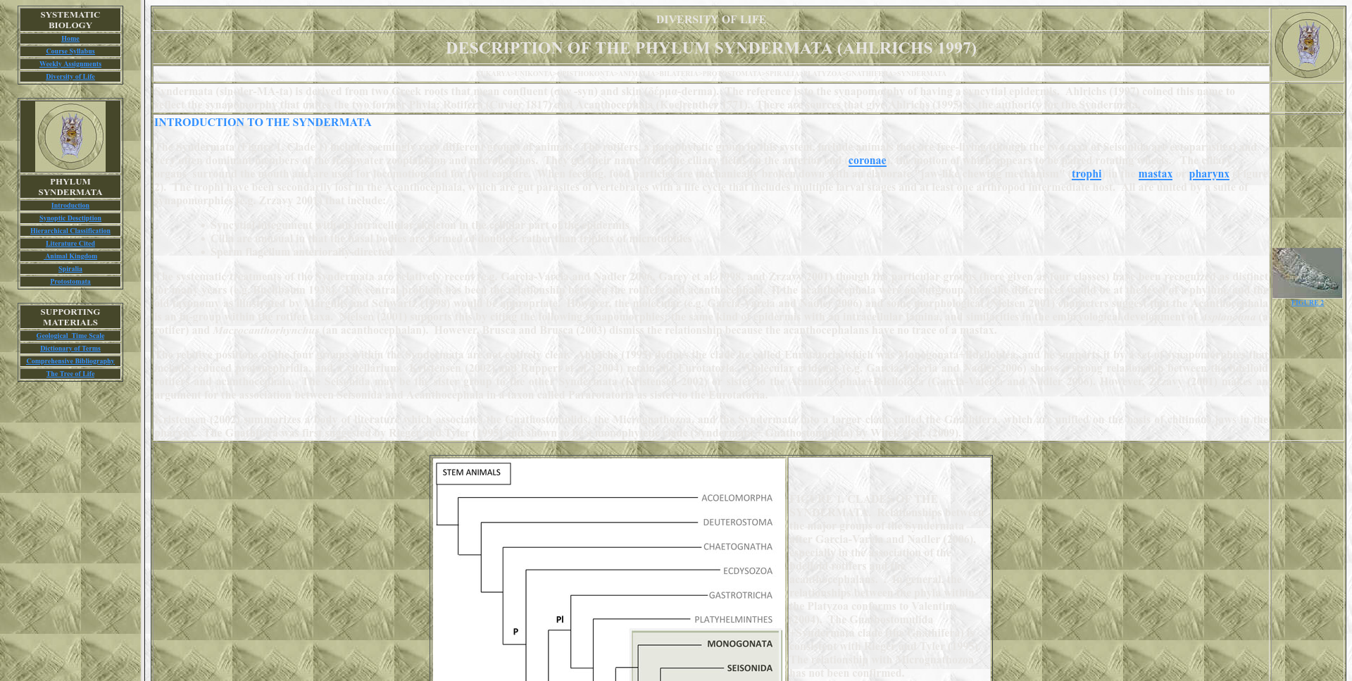 [Broken Website] comenius.susqu.edu · Issue #9030 · darkreader/darkreader · GitHub