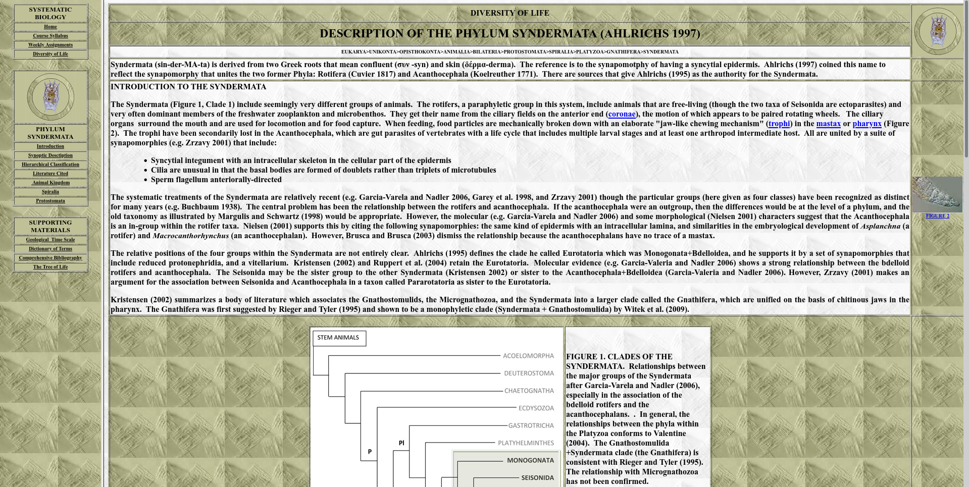 [Broken Website] comenius.susqu.edu · Issue #9030 · darkreader/darkreader · GitHub