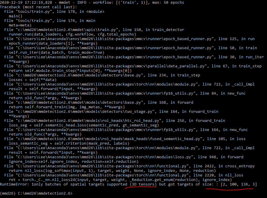 3D tensors error while training DetectoRS on a custom dataset · Issue ...