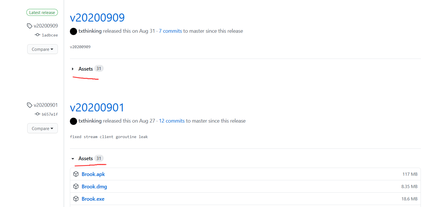 Why there is no binary release after v20200801 ？ · Issue #722 · txthinking/brook · GitHub