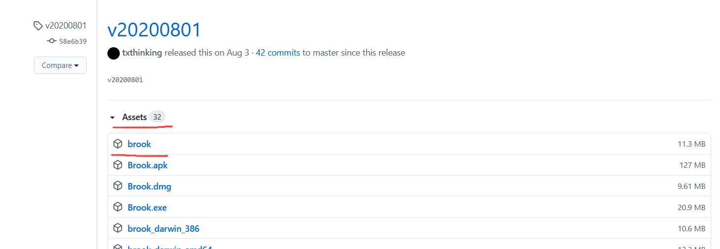 Why there is no binary release after v20200801 ？ · Issue #722 · txthinking/brook · GitHub