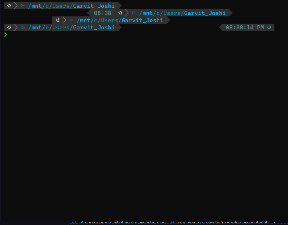 Resizing Terminal Scatter and make Duplicate Characters · Issue #8624 · microsoft/terminal · GitHub
