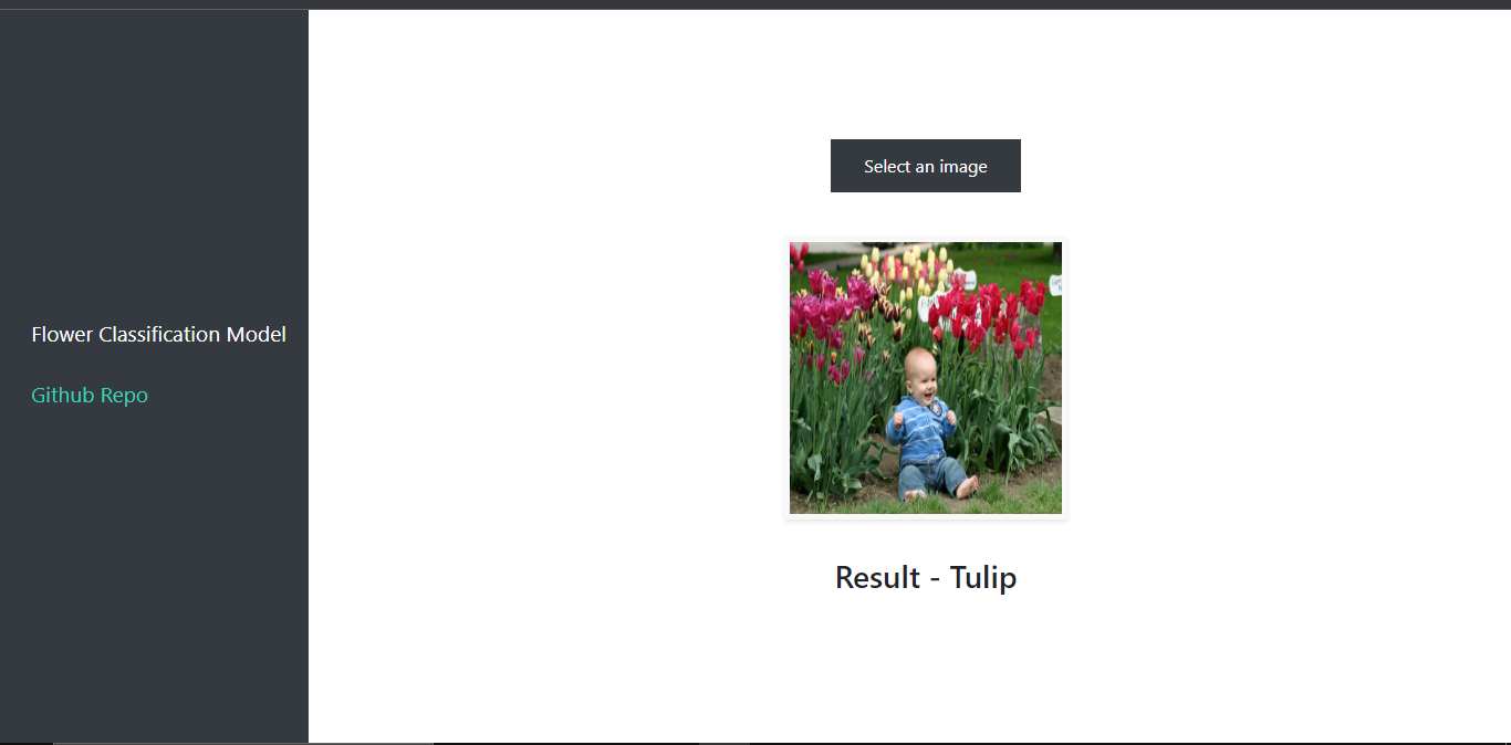 GitHub - pathikg/Flower-Classification: Flower Classification using ...