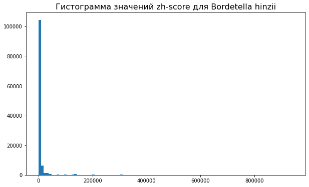 GitHub - ispopov1/hse22_project