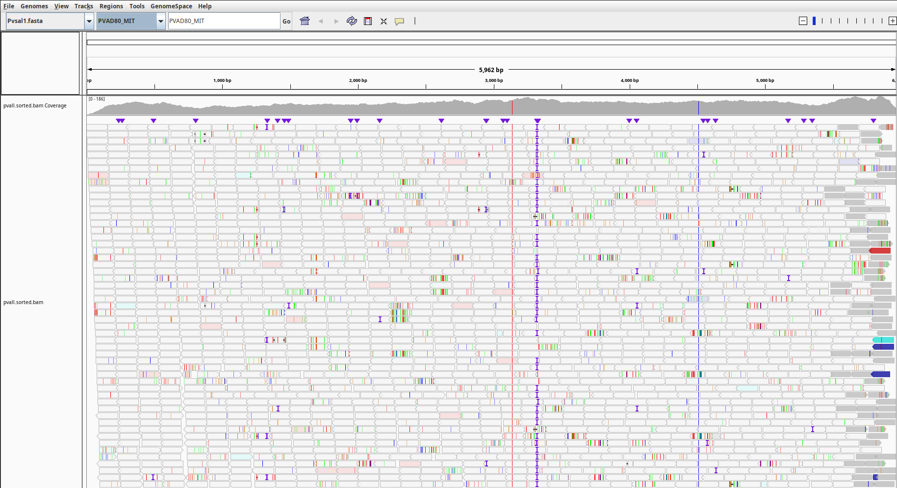 Samplot is changing chromosome name · Issue #165 · ryanlayer/samplot · GitHub