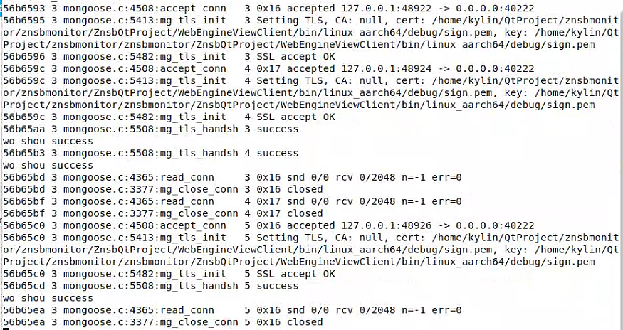 Options Request With Openssl Connection More Times And Client Can Not Recieve Any Results