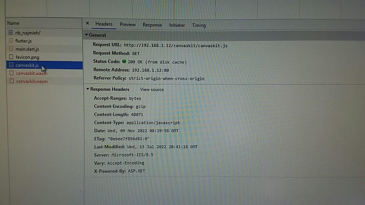 Flutter Web Released App Not Working In Offline Server · Issue 114960 · Flutterflutter · Github