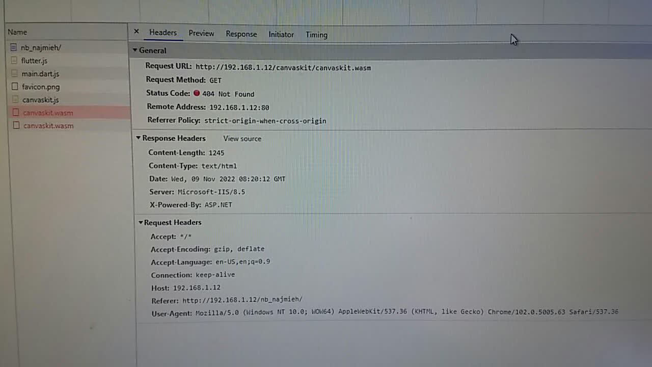 Flutter Web Released App Not Working In Offline Server · Issue 114960 · Flutterflutter · Github