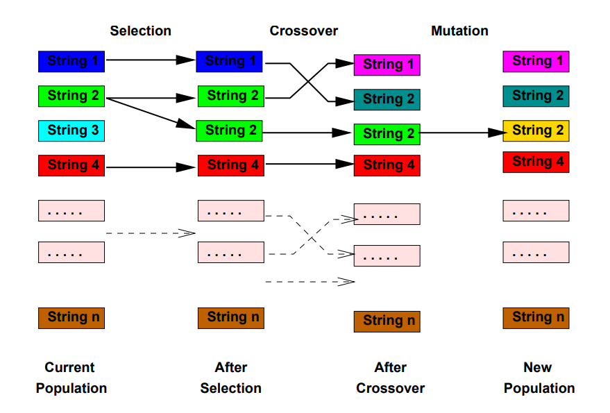 GitHub - 2023PHOENIX/MINOR: Minor 1 project on genetic Algorithm.