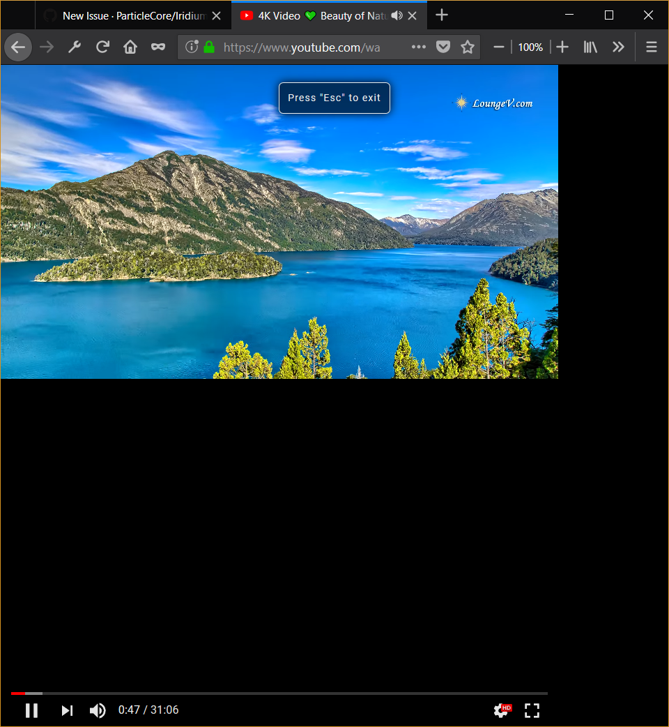 Full Browser Mode Bugs/Suggestions · Issue #258 · ParticleCore/Iridium · GitHub