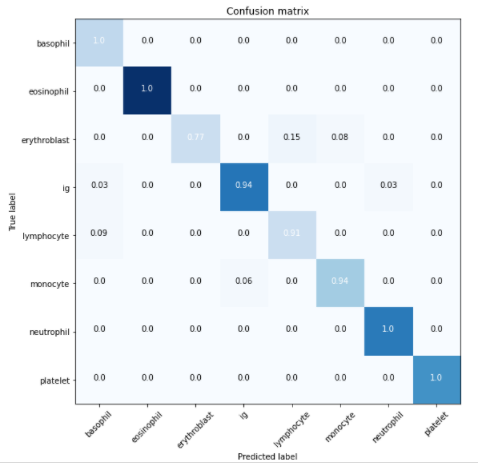 GitHub - malay-pal/CNN_classification: WBC classification using CNN