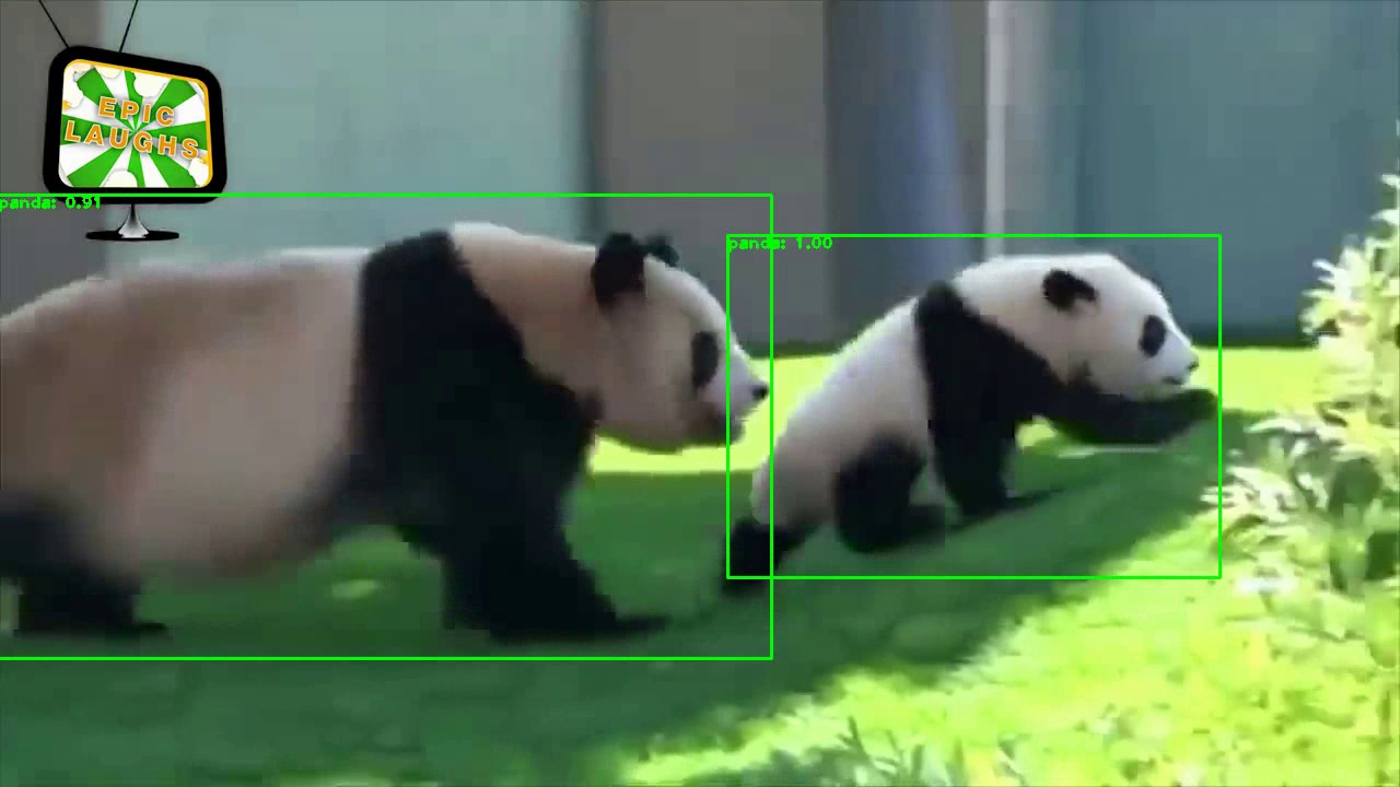 GitHub - myungsanglee/PandaObjectDetection: 판다 실시간 객체 인식