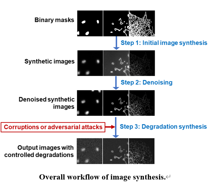 GitHub - cbmi-group/FMSegmentationRobustness
