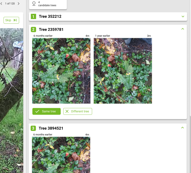 Capture Matching: Show collapse/expand icon against candidate trees ...