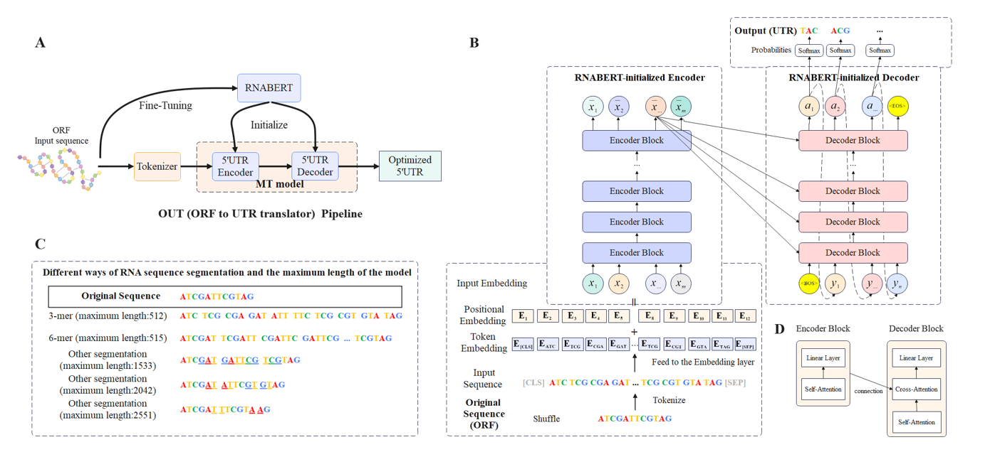 GitHub - xueqianyi/RNA-translation-model: Optimize the mRNA vaccine ...