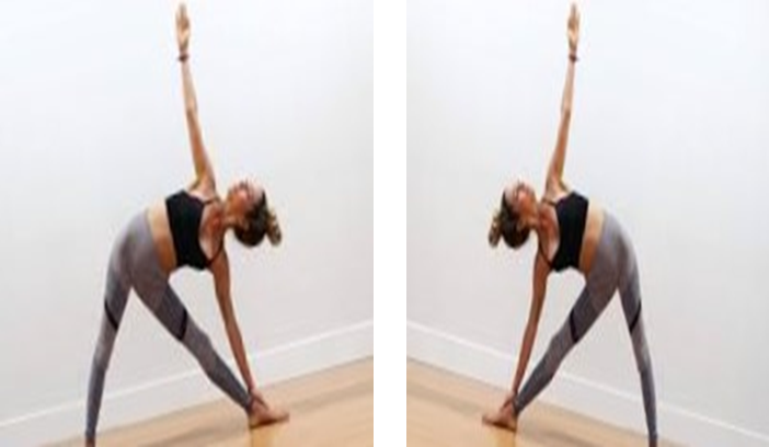 Projects/Yoga Pose Detection using Machine learning/Readme.md at master ...