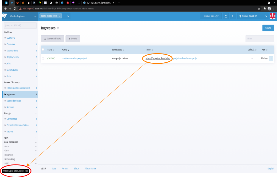 Error on deployment endpoint that links the app to one of the cluster IP · Issue #4190 · rancher ...
