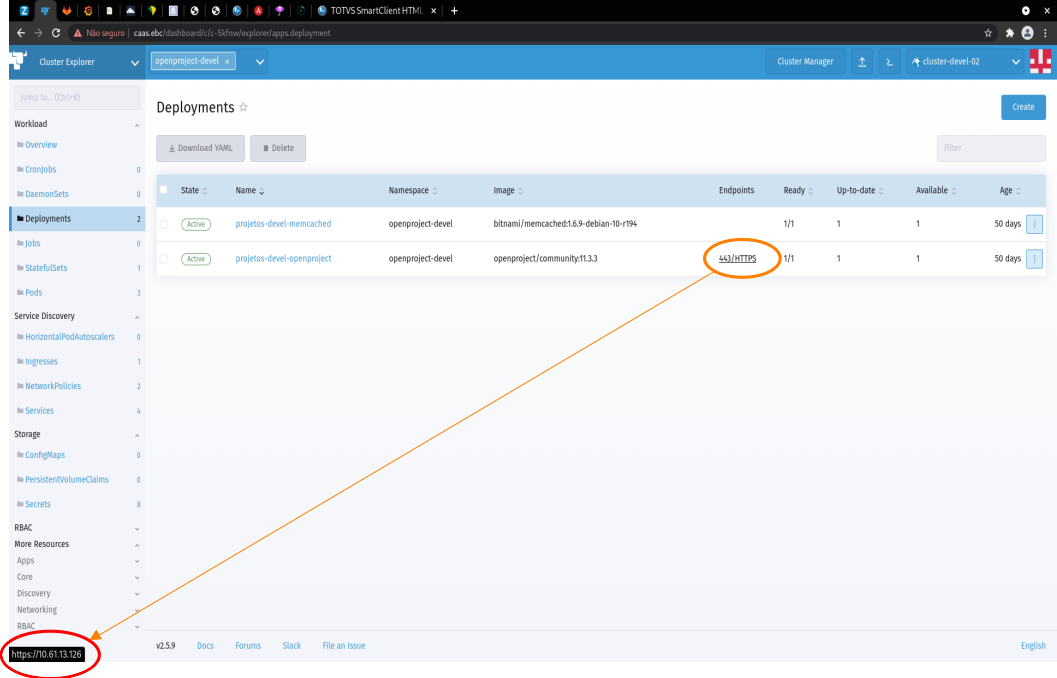 Error on deployment endpoint that links the app to one of the cluster IP · Issue #4190 · rancher ...