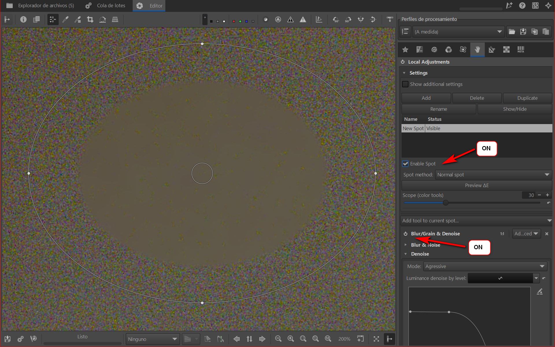 Local Adjustments: Disable Spot does not work with Denoise · Issue #6074 · RawTherapee ...