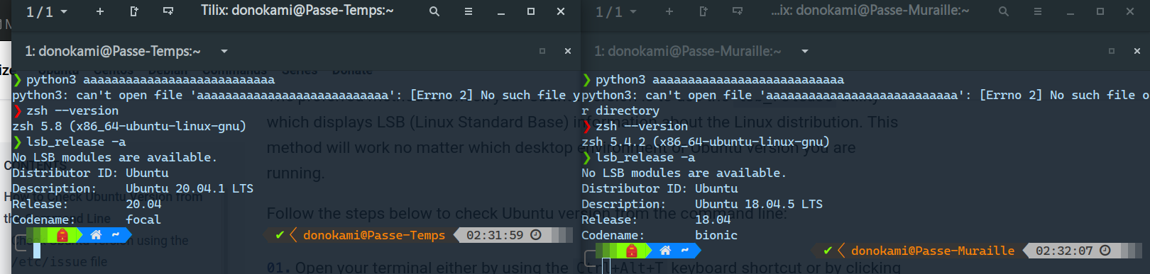 No text wrapping · Issue #1144 · romkatv/powerlevel10k · GitHub