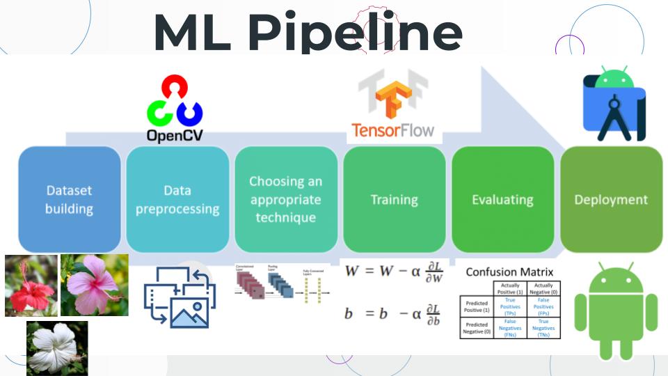 GitHub - Codernob/Hibiscus-Classification-App: An app where we have used android studio to ...