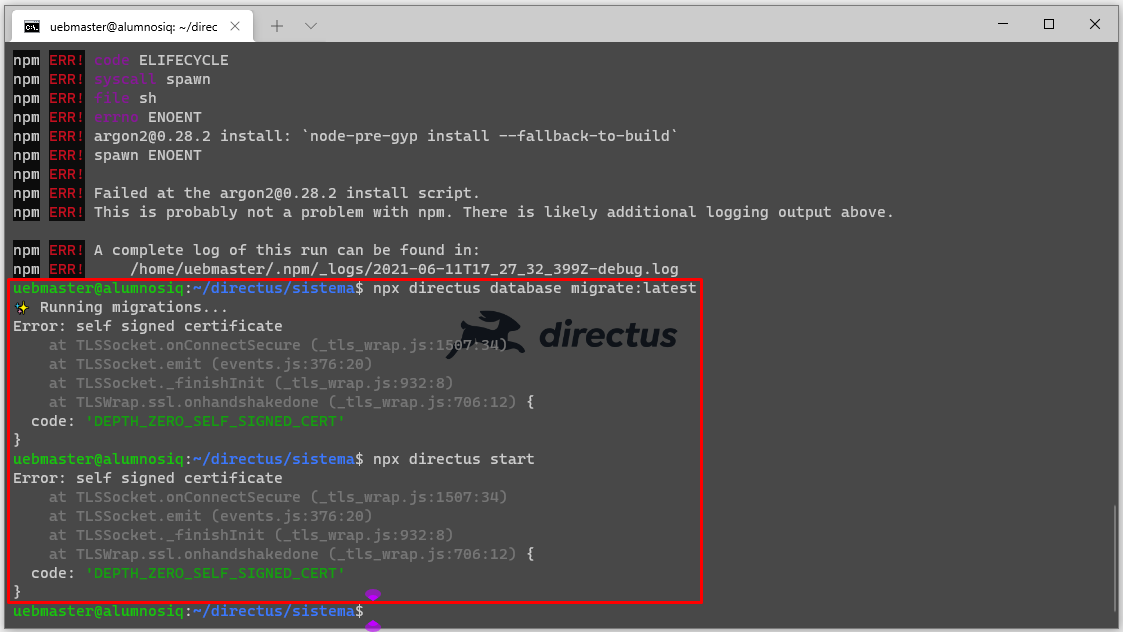 error: self signed certificate with code 'DEPTH_ZERO_SELF_SIGNED_CERT' · Issue #6219 · directus ...