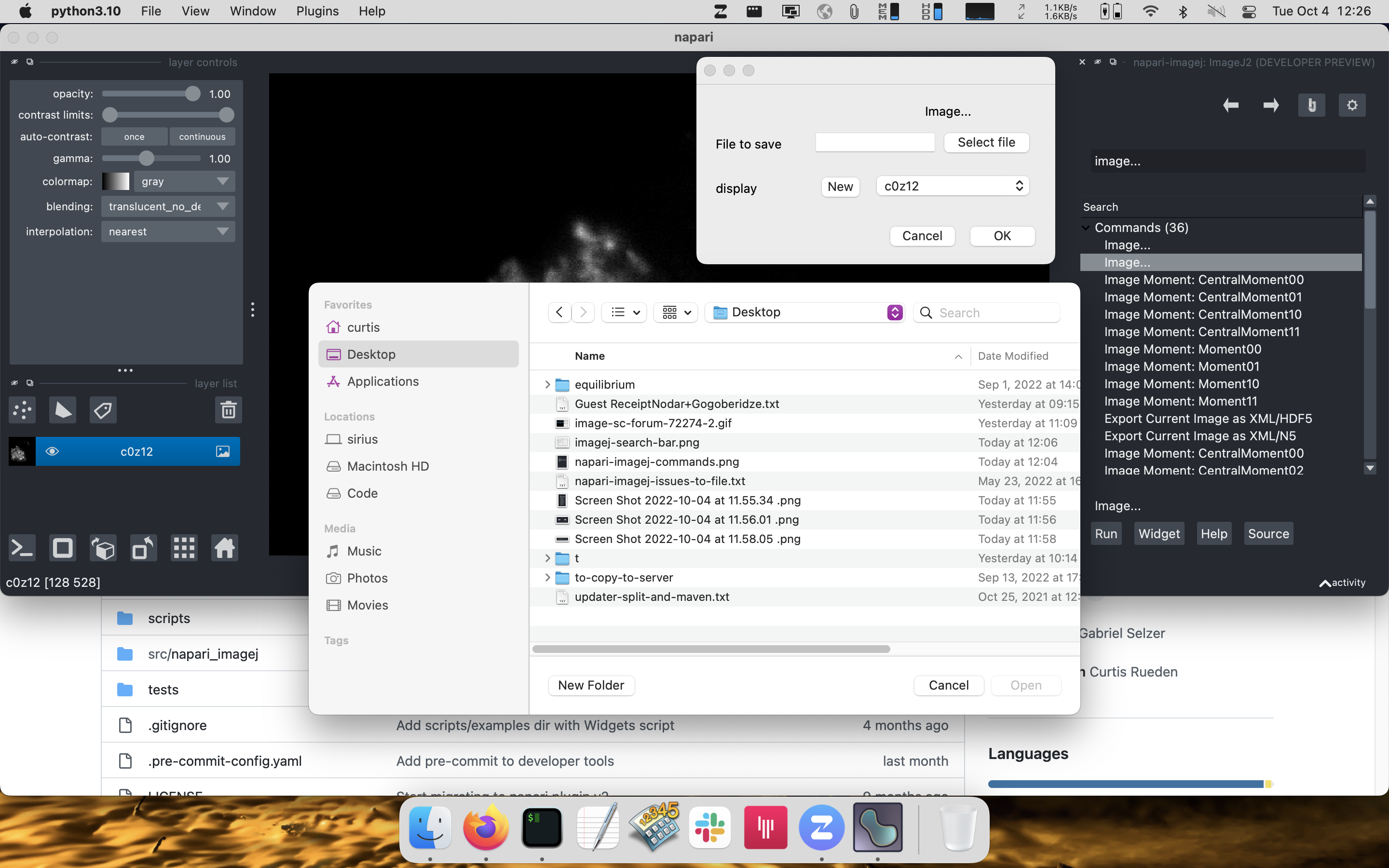 Save-style file parameters pop open-style file choosers · Issue #111 · imagej/napari-imagej · GitHub