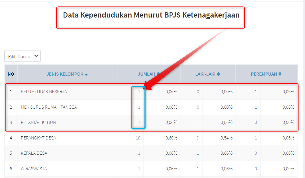 Bug/error: Nomor kartu BPJS Ketenagakerjaan untuk penduduk dengan ...