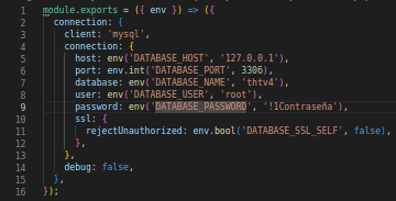 stapi connect to a DB, but doesn´t read anything · Issue #15668 · strapi/strapi · GitHub