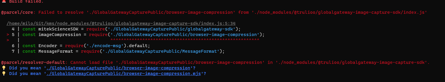 Parcel is not compiling .mjs without filename · Issue #7812 · parcel-bundler/parcel · GitHub