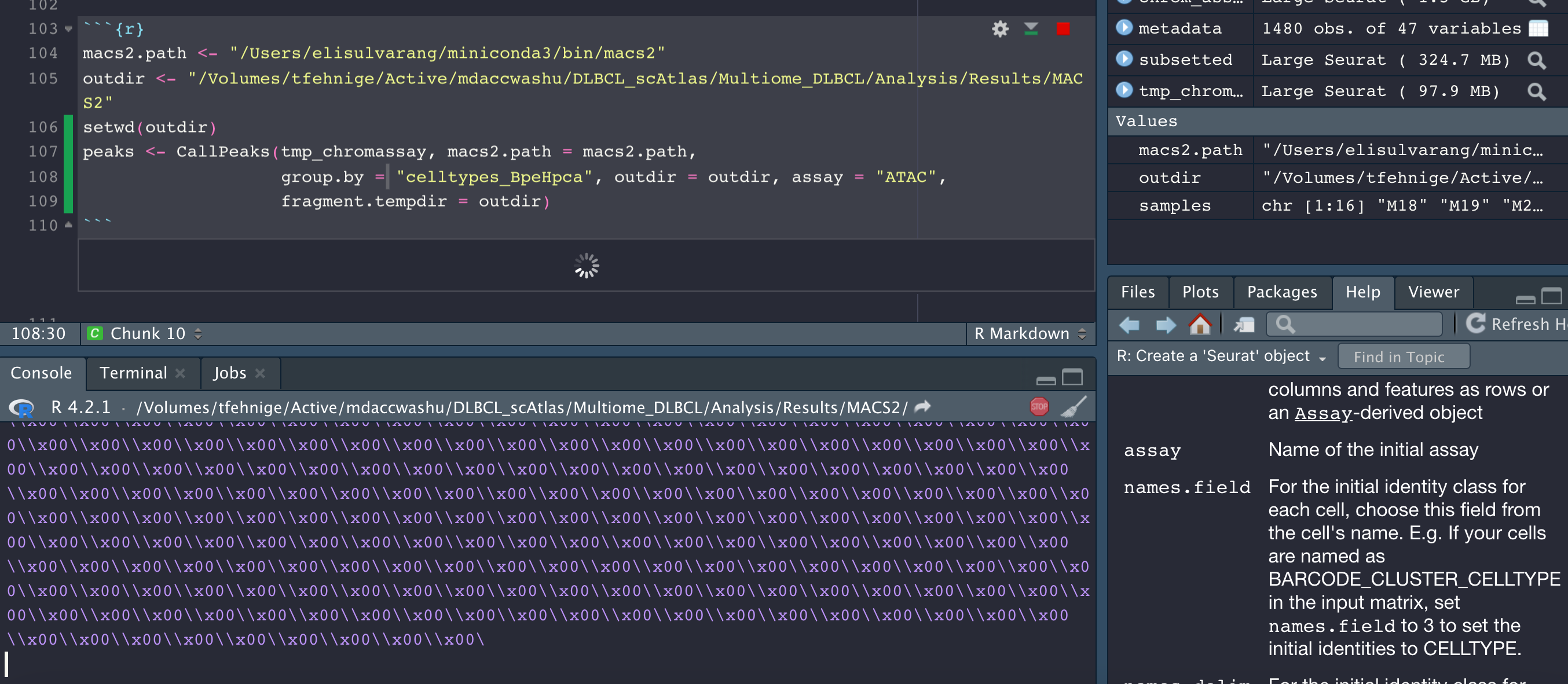CallPeaks error: cannot open file 'path/filename_peaks.narrowPeak': No such file or directory ...