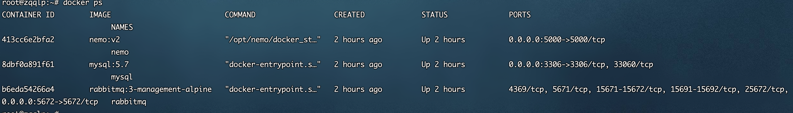 docker 搭建成功访问5000端口显示502 · Issue #7 · hanc00l/nemo_go · GitHub