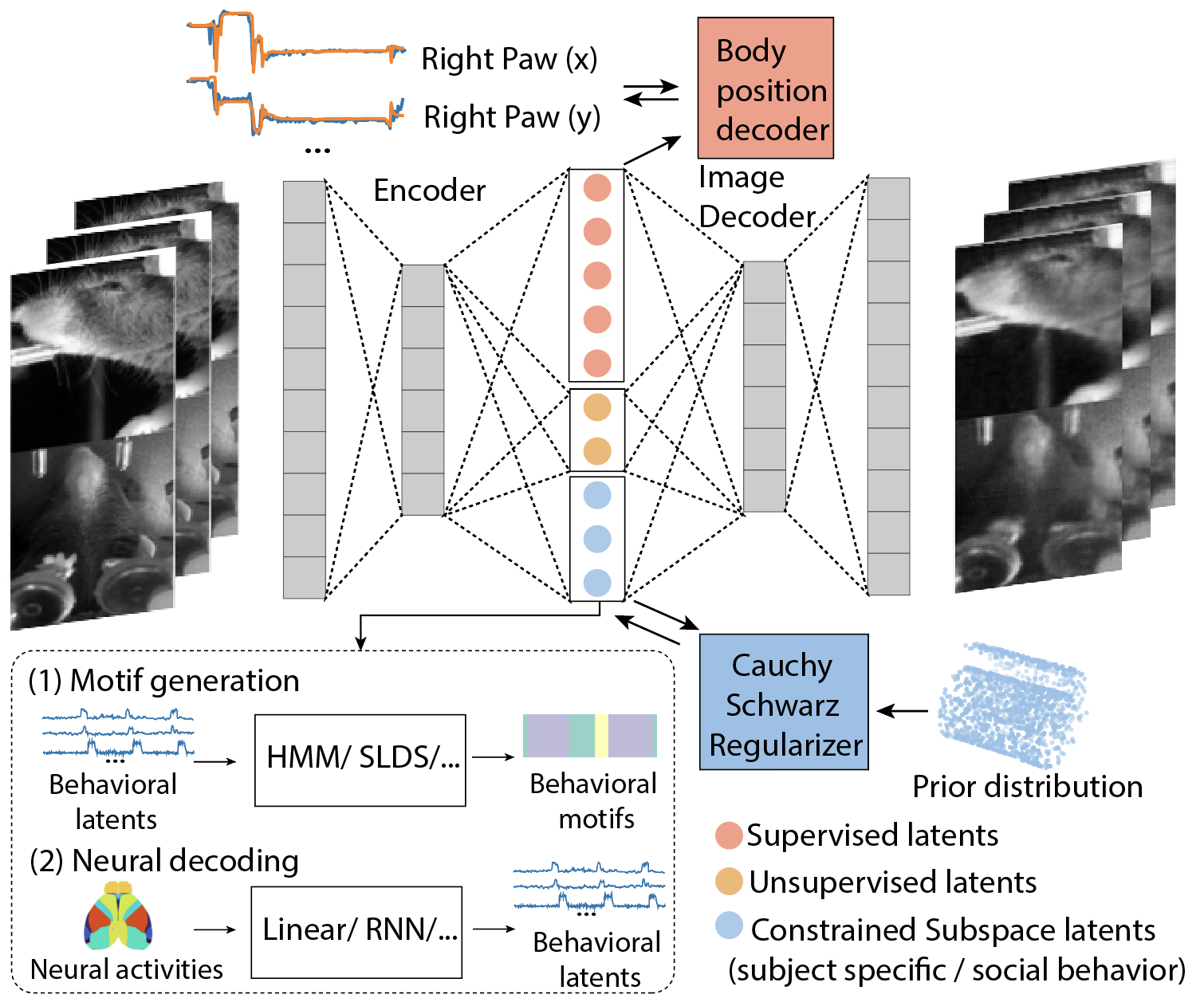 GitHub - saxenalab-neuro/Behavioral-feature-extraction-CS-VAE: Implementation for CS-VAE