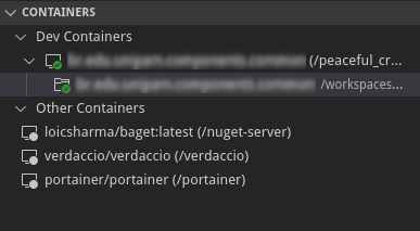 Can't access a nuget container via vscode-remote dev · Issue #2784 · microsoft/vscode-remote ...