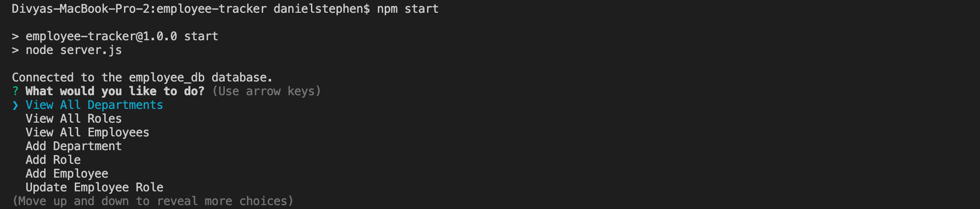 GitHub - daniel-vergil/employee-tracker