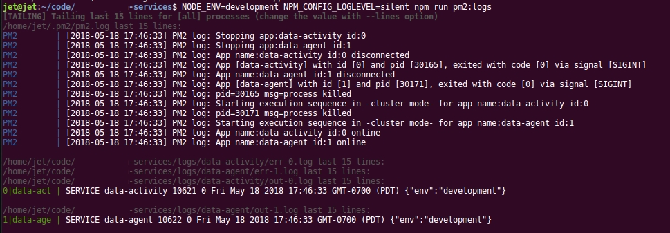 Cluster mode and npm start directs to wrong logs · Issue #3675 · Unitech/pm2 · GitHub