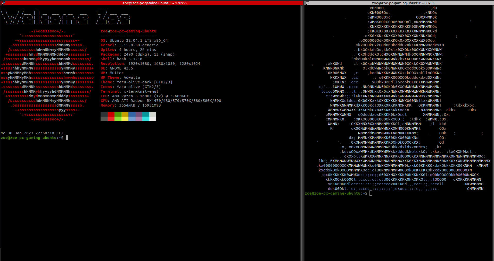 Option to set split ratio of terminals · Issue #708 · gnome-terminator/terminator · GitHub